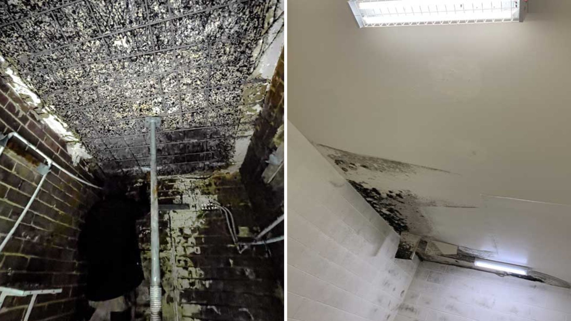 What is a Structural Engineer Inspection: Everything You Need to Know